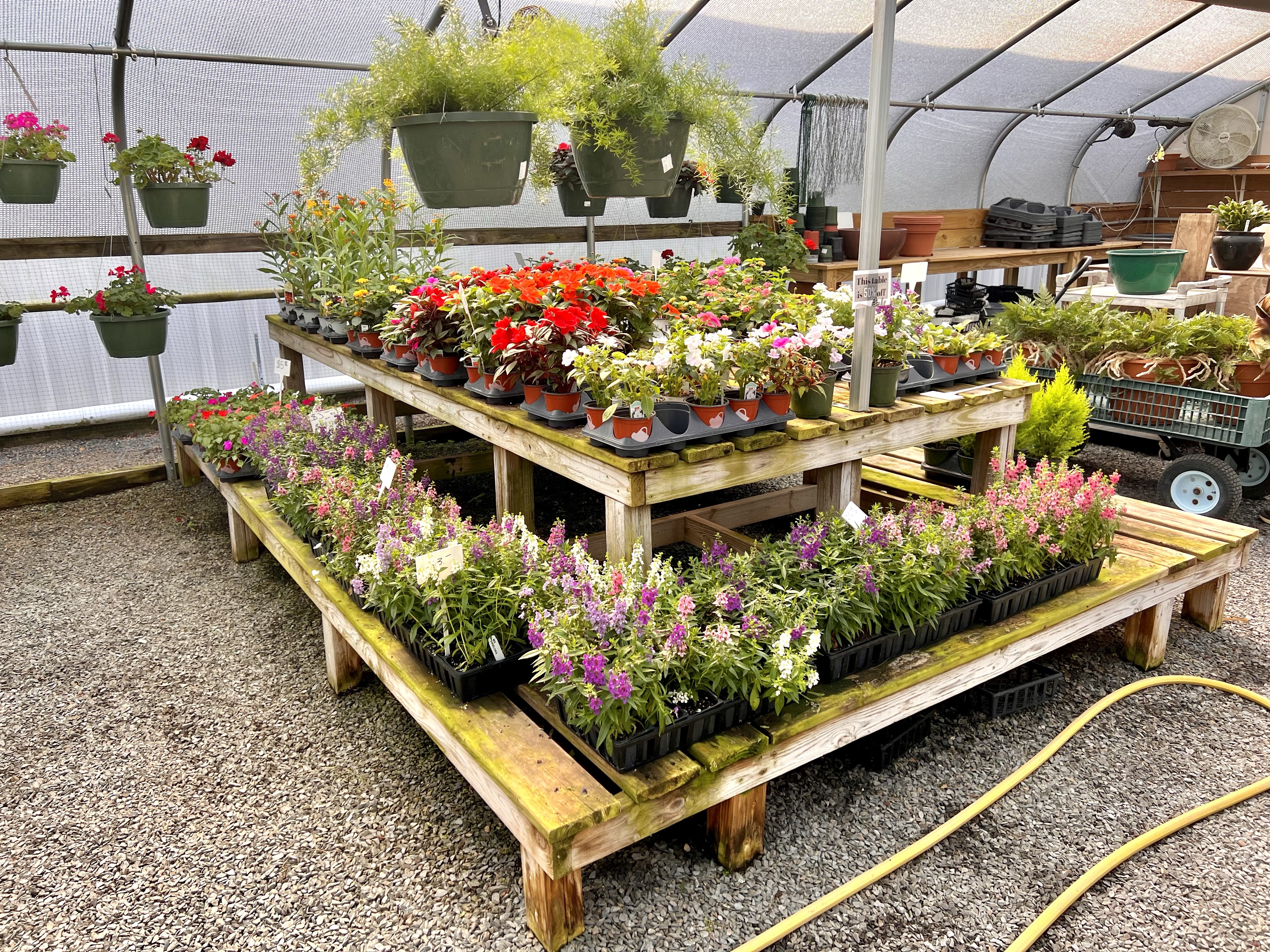 Summer Inventory – Matthews Greenhouses Inc