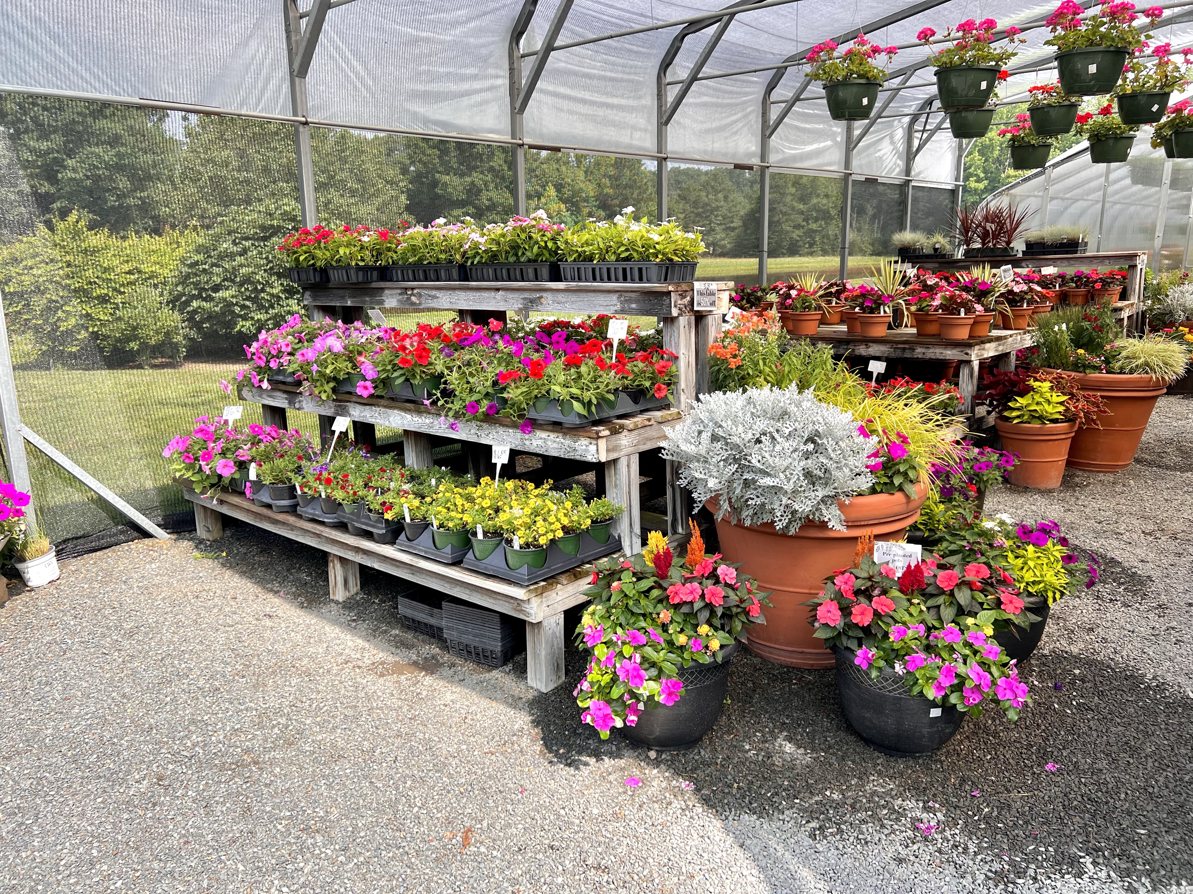 Summer Inventory – Matthews Greenhouses Inc