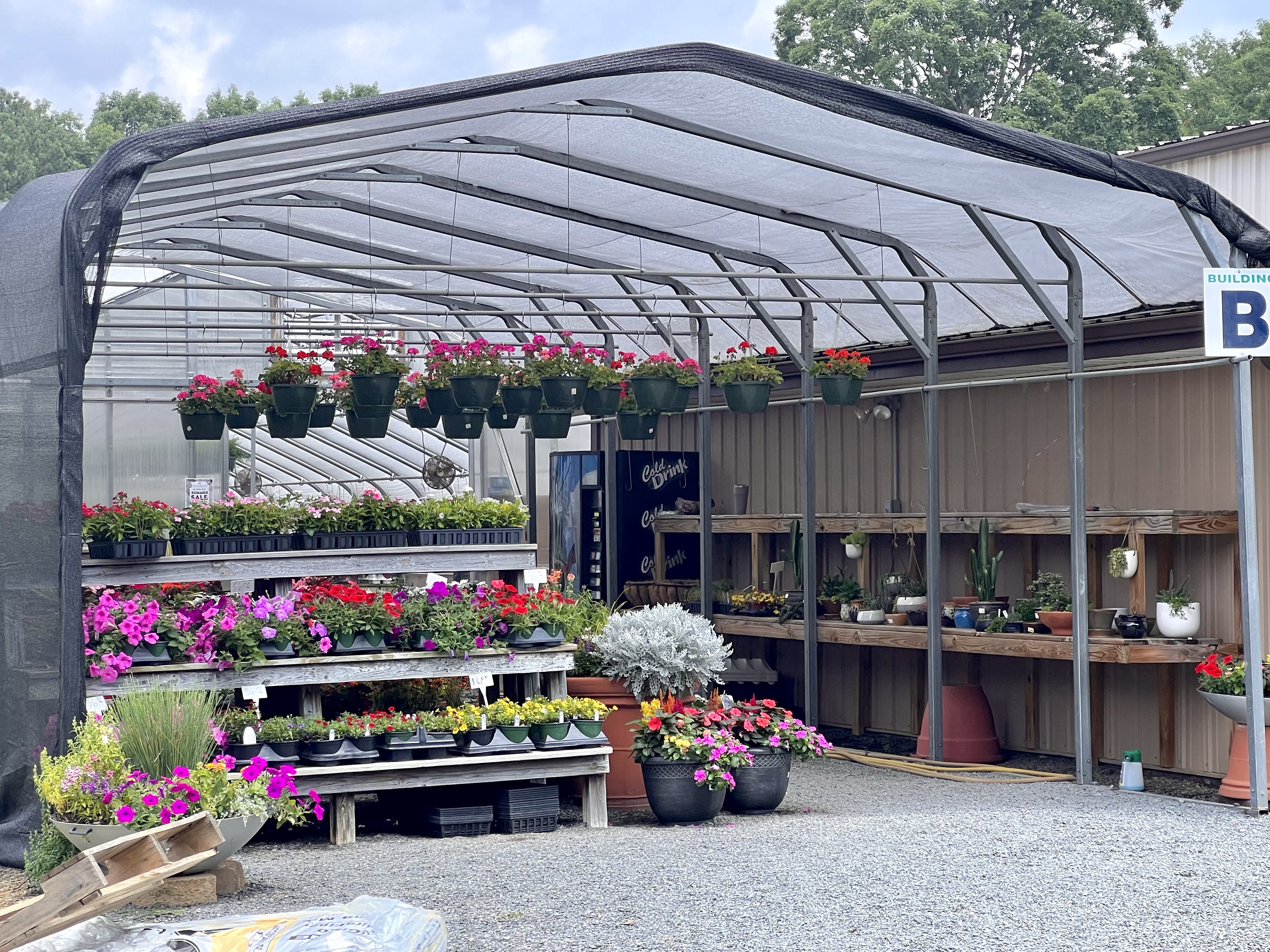 Summer Inventory – Matthews Greenhouses Inc