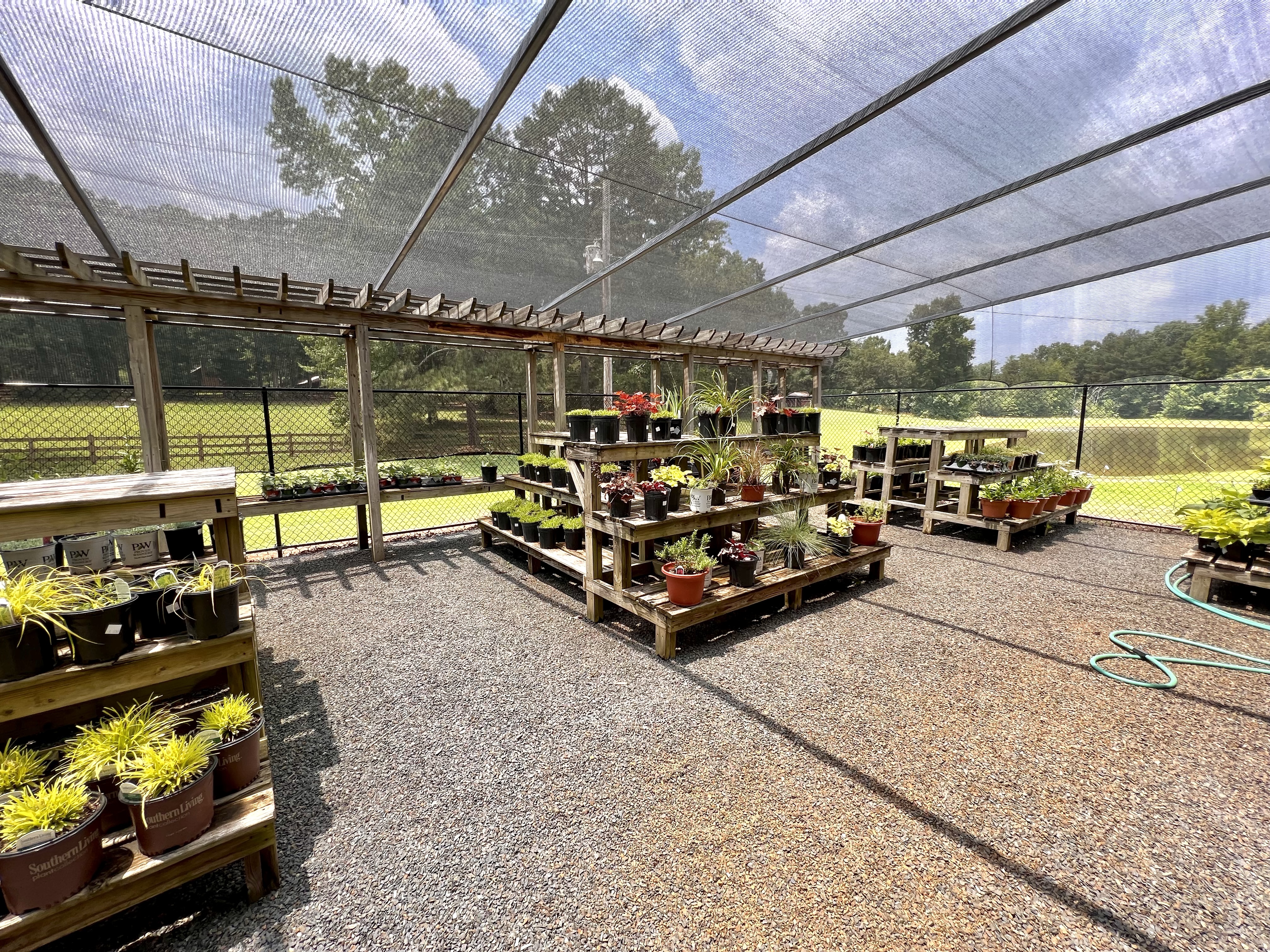 Summer Inventory – Matthews Greenhouses Inc