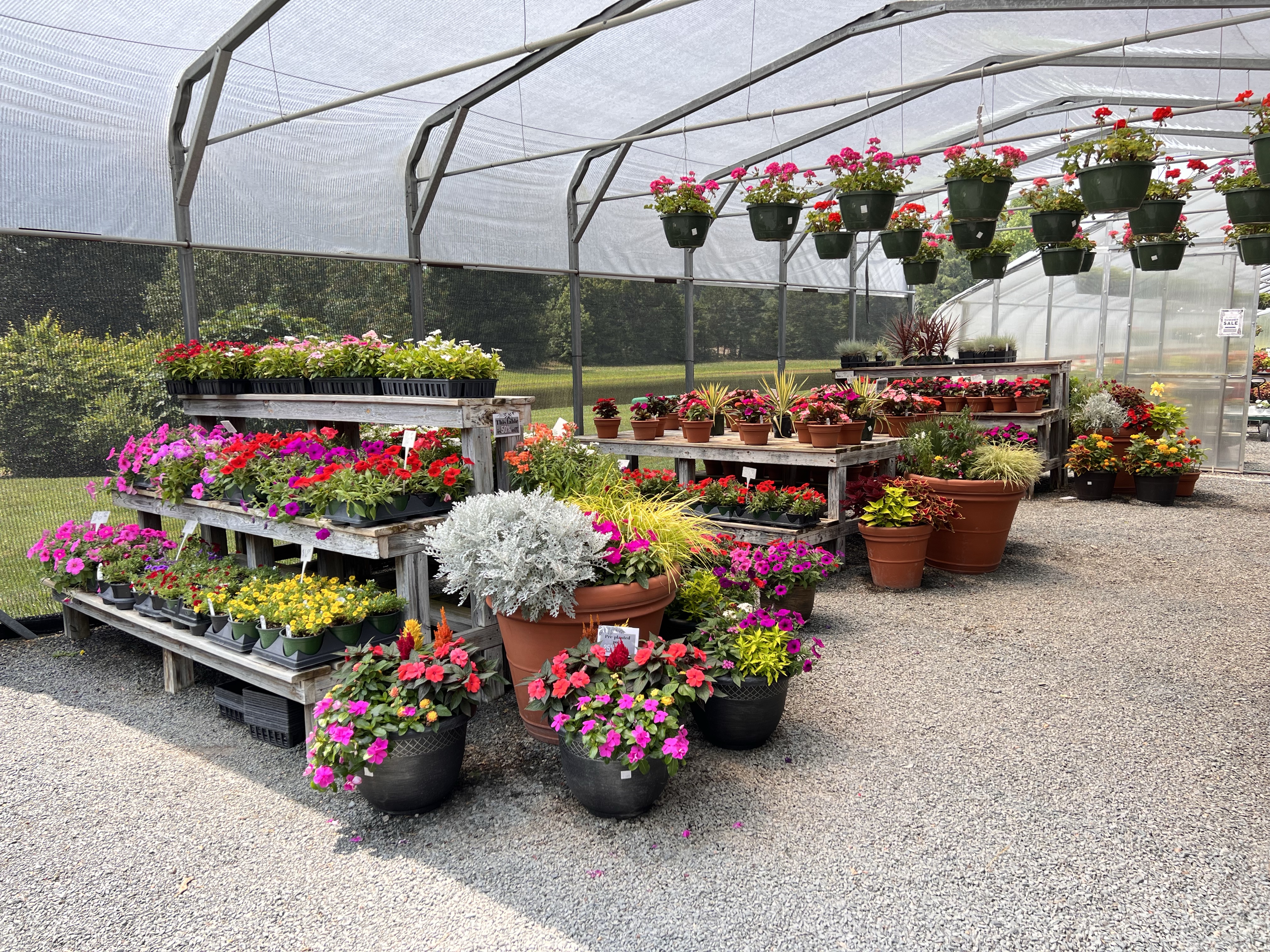 Summer Inventory – Matthews Greenhouses Inc