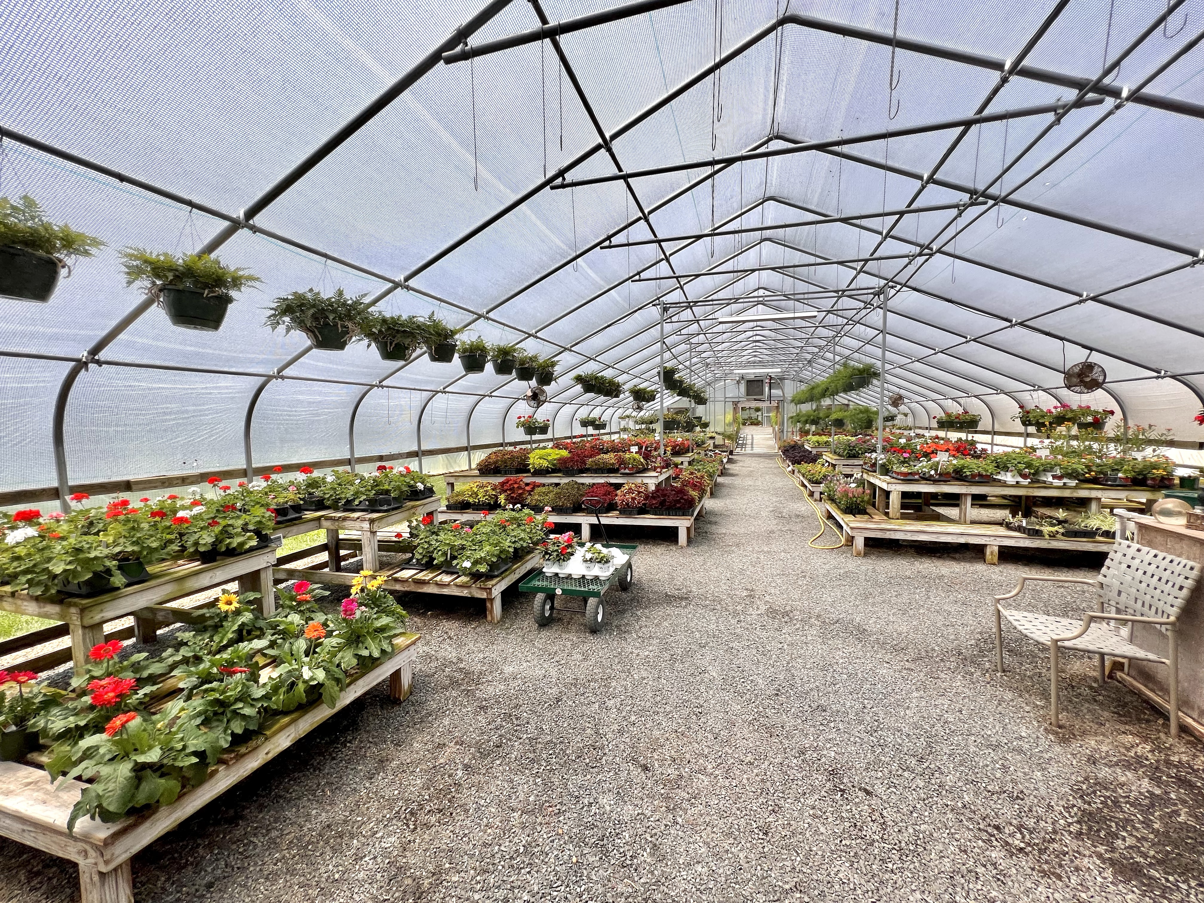 Summer Inventory – Matthews Greenhouses Inc